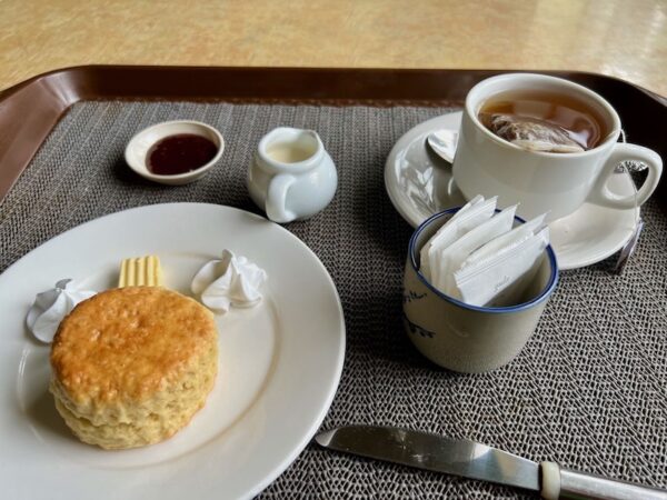 【マレーシア】避暑地キャメロンハイランドでネイチャーツアー | Becolog